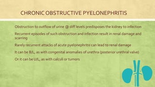 Chronic Pyelonephritis