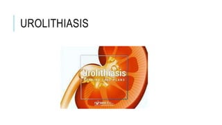 Chronic pyelonephritis, urolithiasis, kidney amyloidosis | PPT