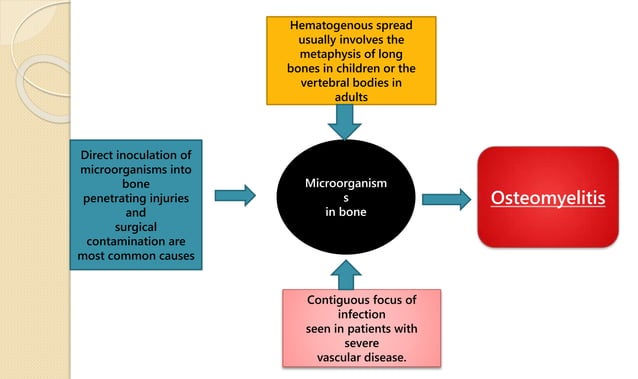 Chronic pyogenic osteomyelitis | PPTX | Bone and Joint Conditions ...