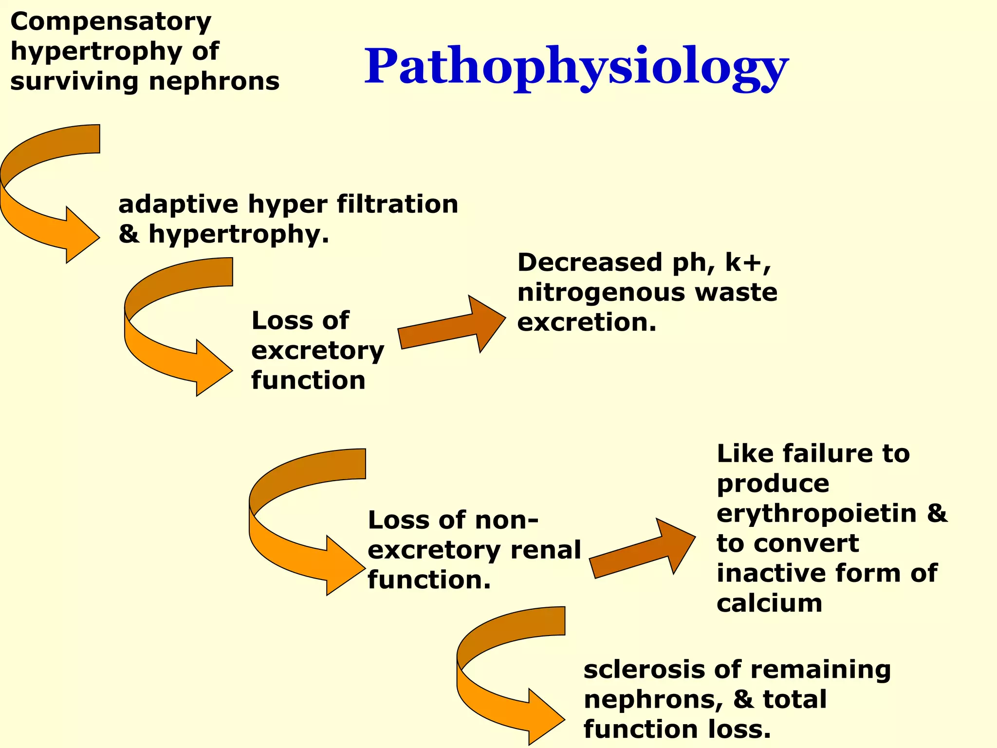 Chronic Renal Failure (End Stage Renal Failure) | PPTX
