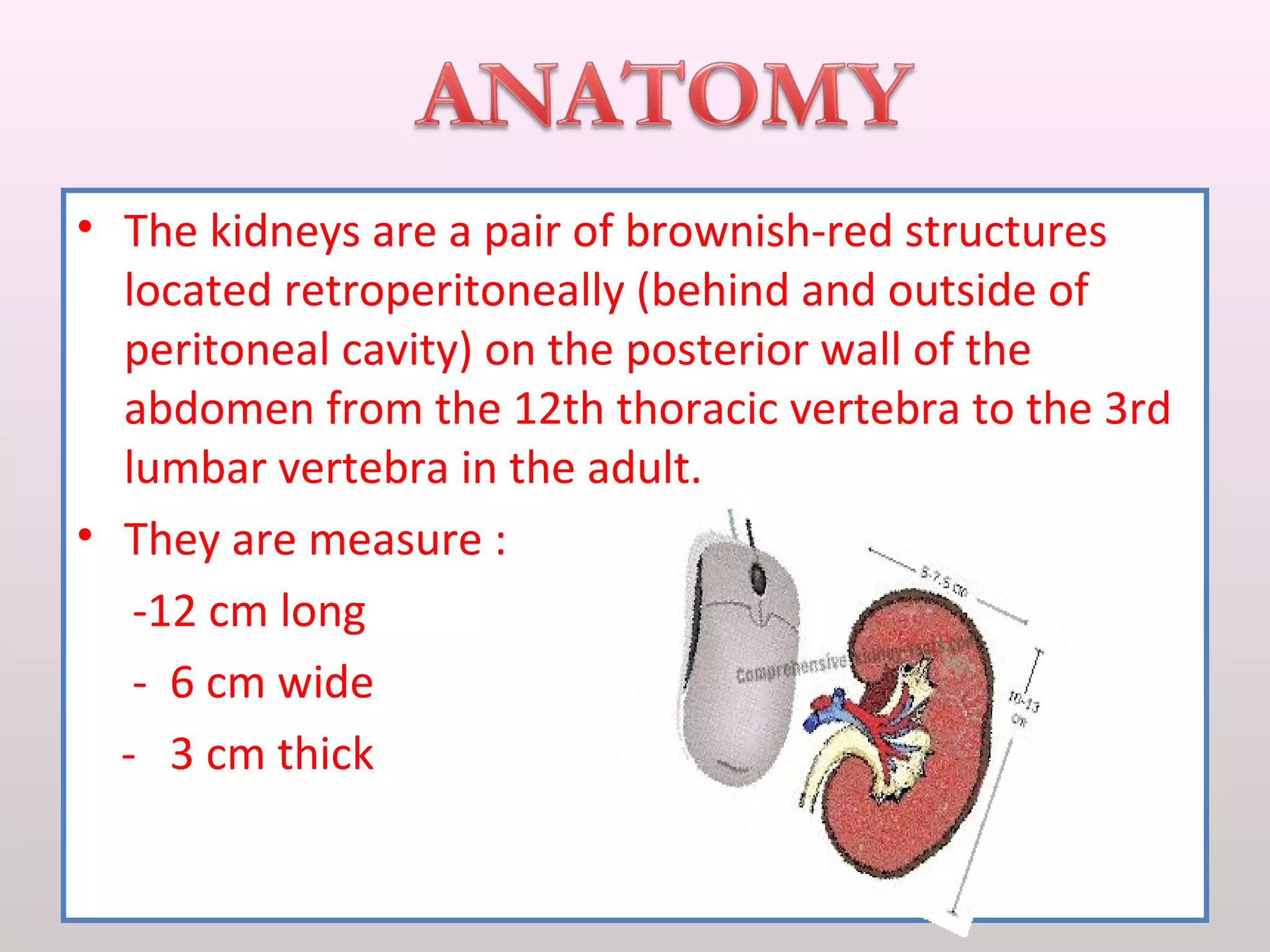Chronic renal failure | PPT | Blood Disorders | Diseases and Conditions