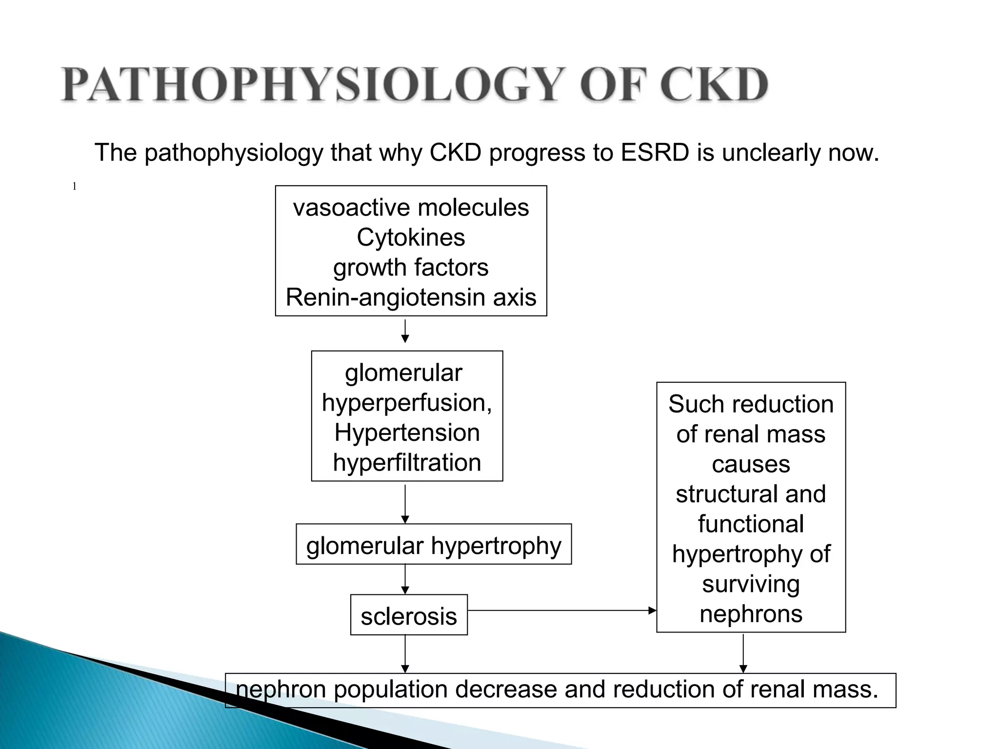 Chronicrenalfailure | PPT