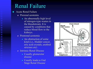 Chronic renal failure | PPT | Lung and Respiratory Health | Diseases ...