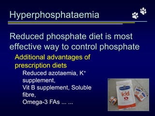 Chronic renal failure.ppt