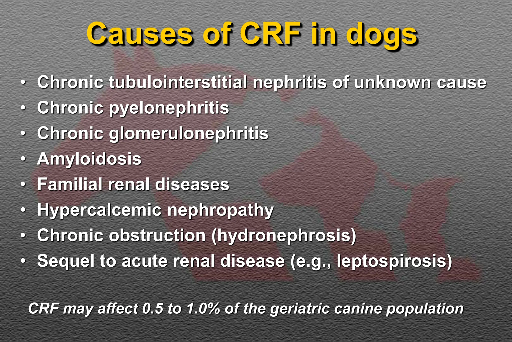 Chronic renal failure of small animals.ppt
