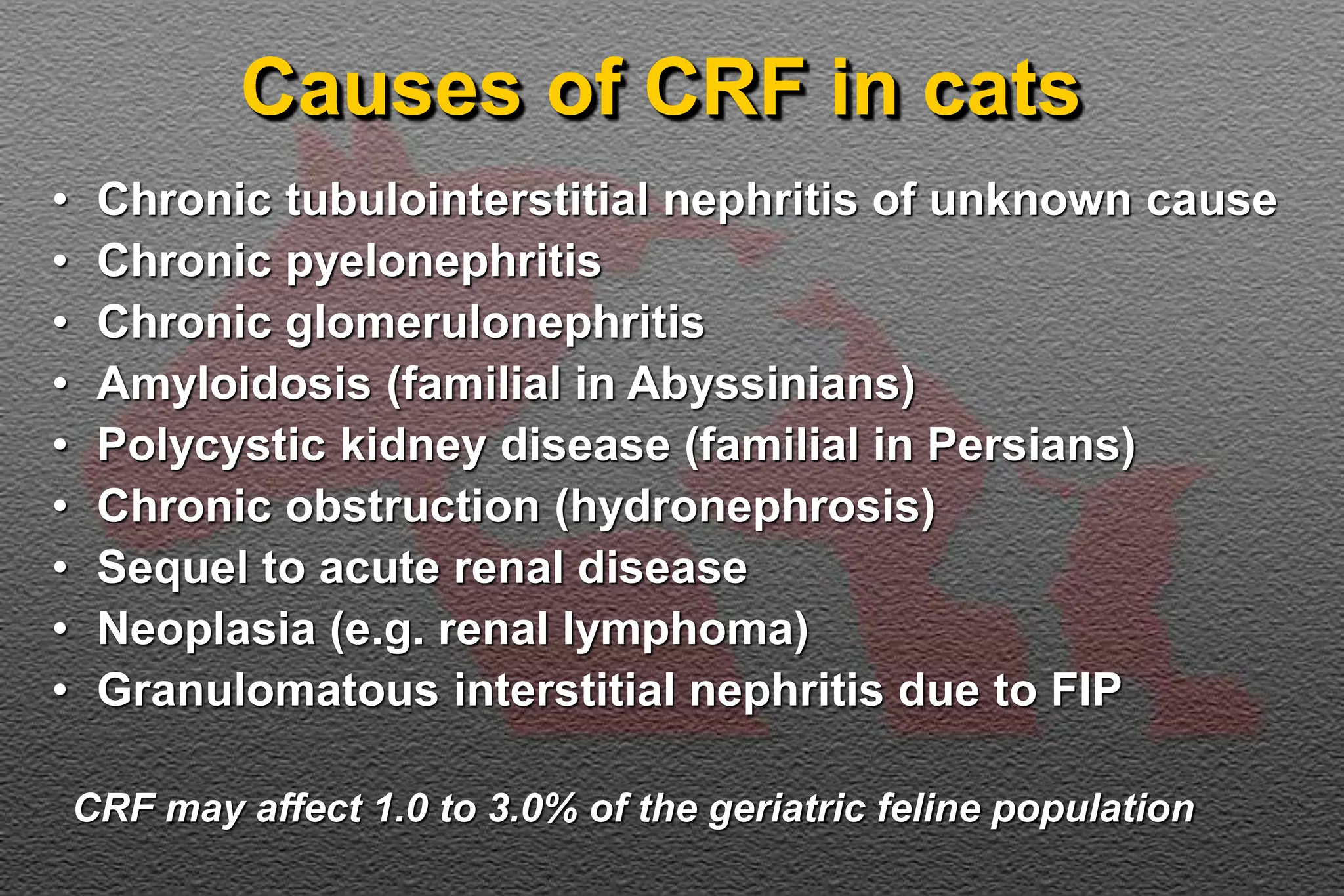 Chronic renal failure of small animals.ppt