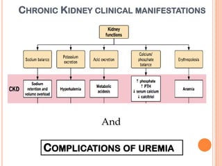 Chronic Renal Failure | PDF