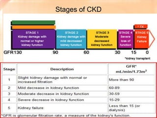 Chronic renal failure and its management 2.pptx