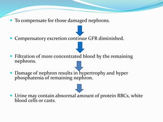 Chronic renal failure (CRF) | PPTX