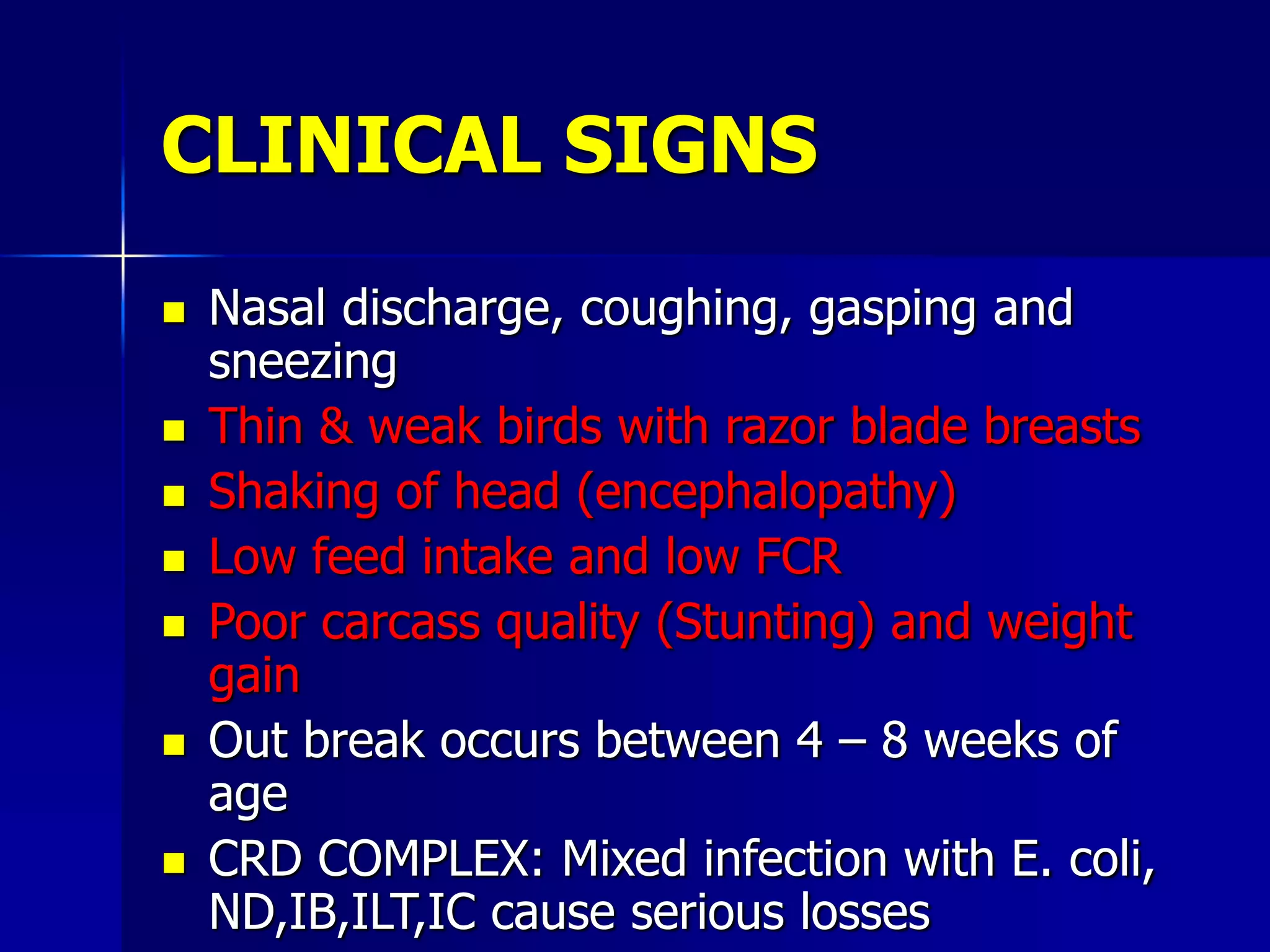 Chronic Respiratory Disease.ppt