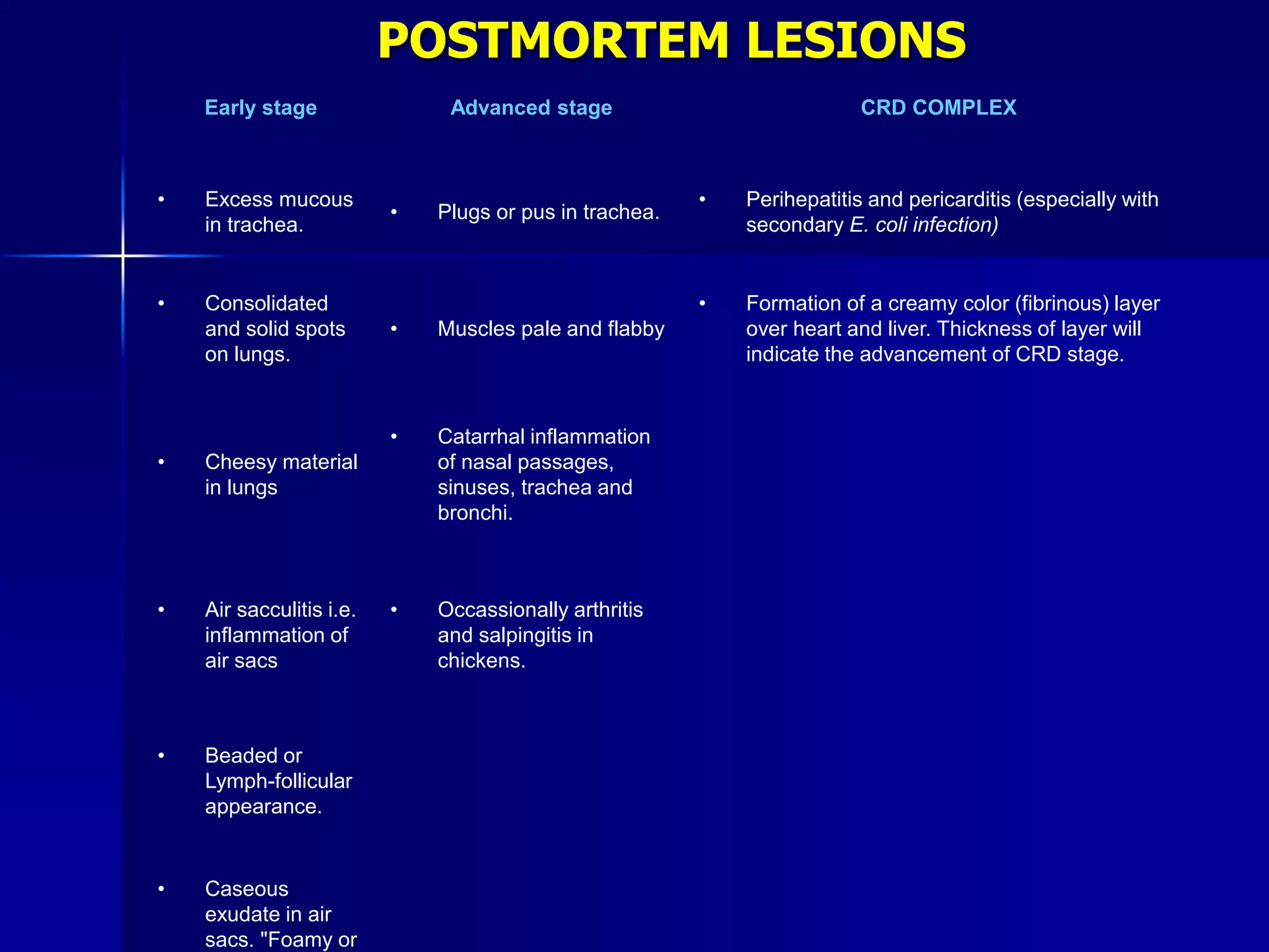 Chronic Respiratory Disease.ppt