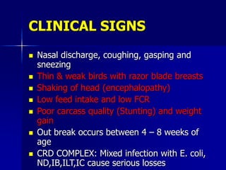 Chronic Respiratory Disease.ppt