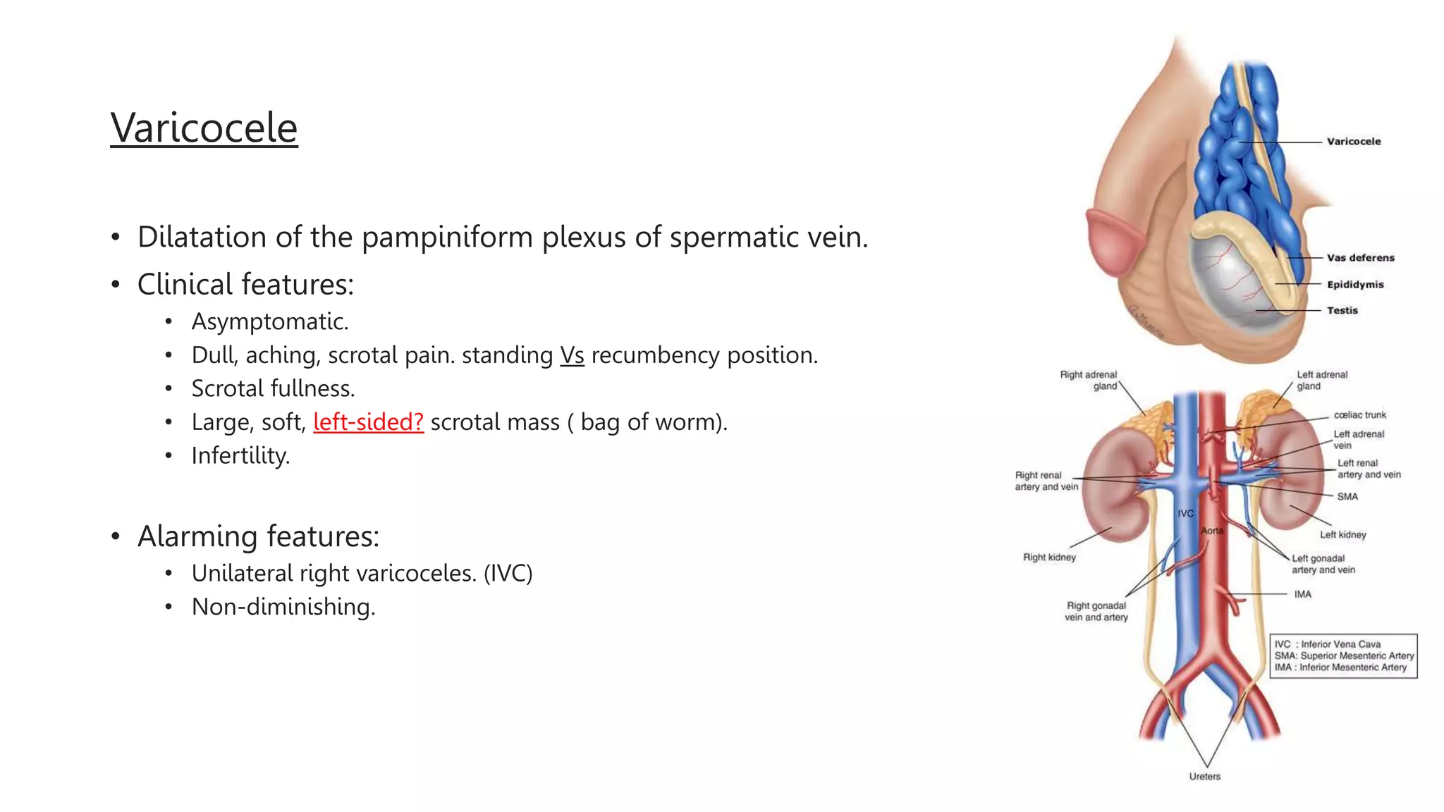 chronic scrotal pain.pptx