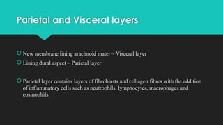 Pathophysiology of Chronic Sub Dural Hematoma.pptx