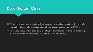 Pathophysiology of Chronic Sub Dural Hematoma.pptx