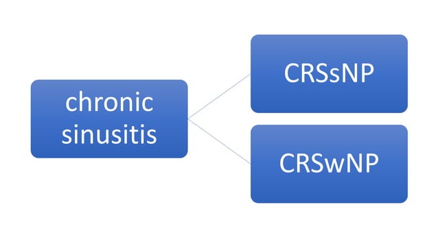 Chronic sinusitis | PPTX | Ear, Nose and Throat Conditions | Diseases ...