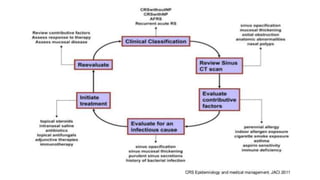 Chronic sinusitis | PPTX