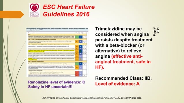 Chronic Stable Angina.pptx
