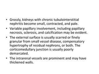 Chronic tubulointerstial nephrities | PPTX