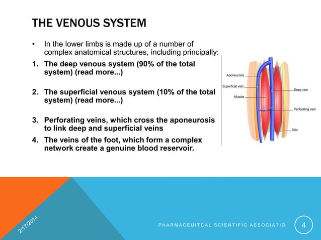 Chronic venous disease | PPTX | Heart and Cardiovascular Diseases ...