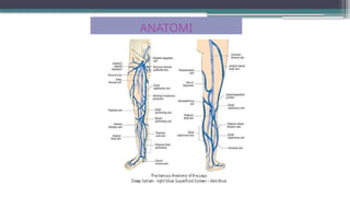 Chronic Venous Insufficiency care plan.pptx