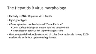 CHRONIC VIRAL HEPATITIS combined.pptx