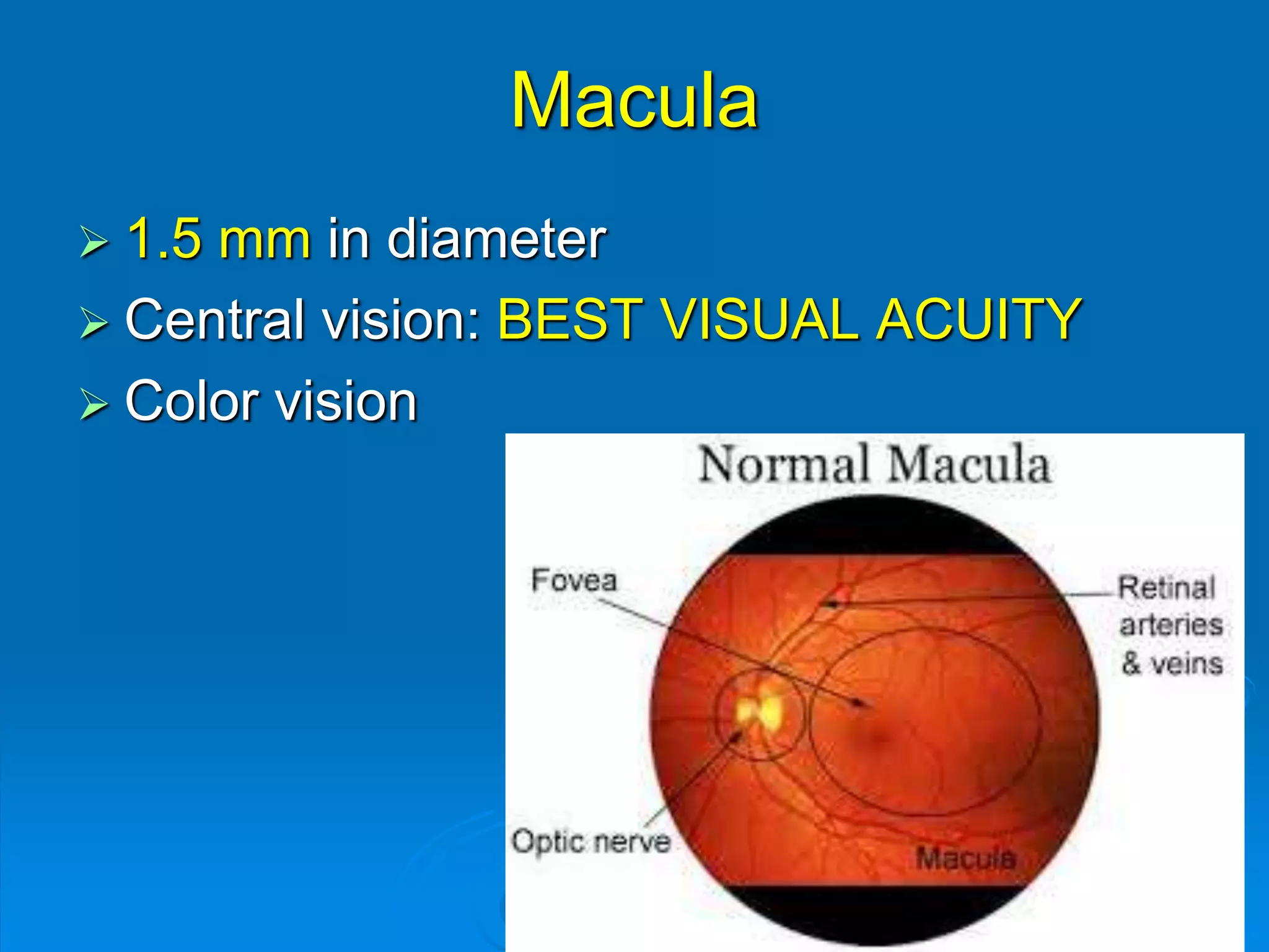 Chronic visual loss | PPTX