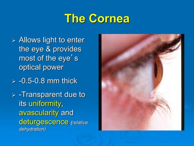 Chronic visual loss | PPTX