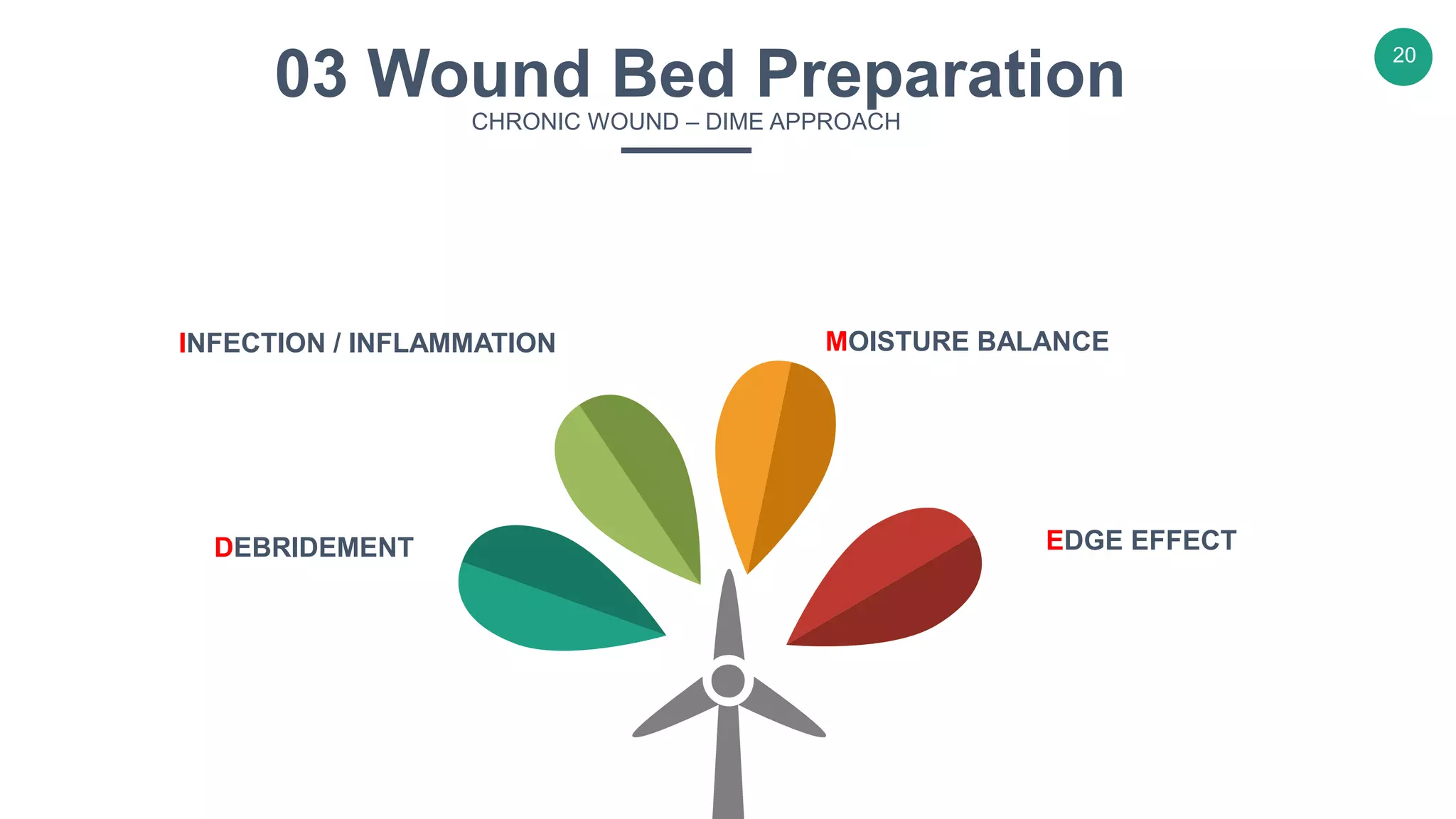 Chronic Wound Management Strategy | PPT | Free Download