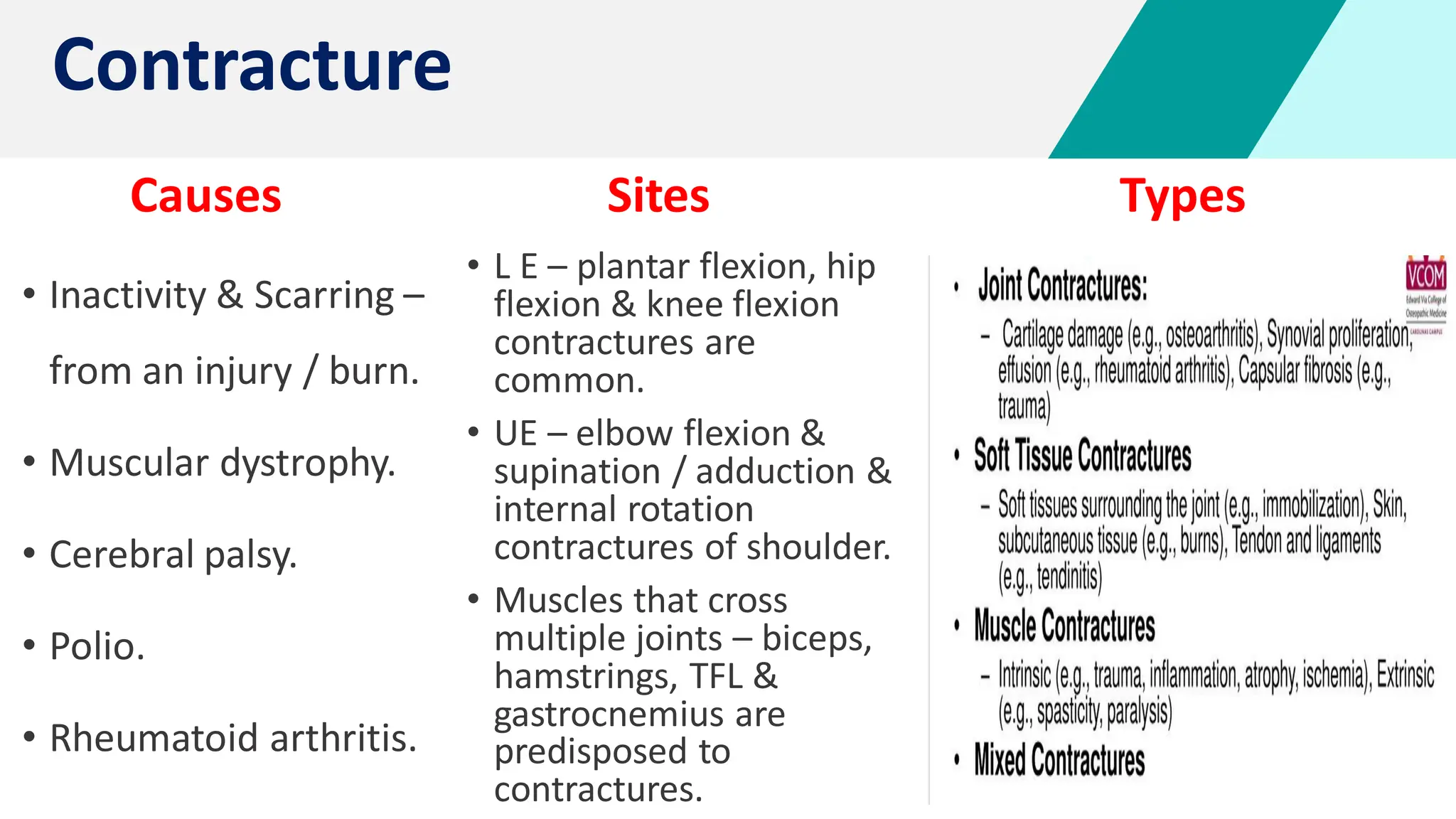 Chronic Wounds | PDF