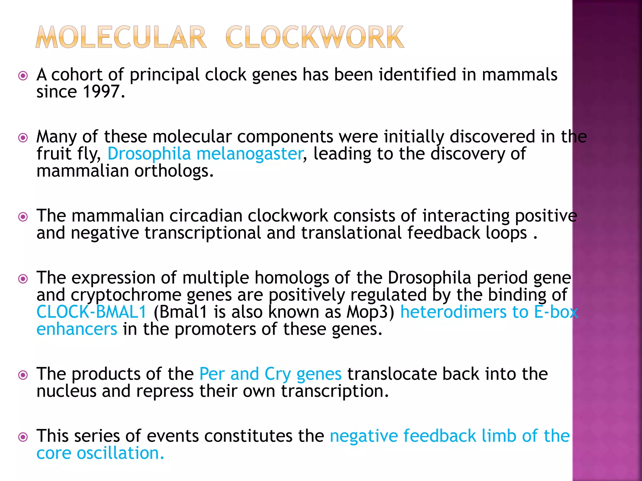 CHRONO BIOLOGY | PPTX