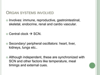 Chronobiology | PPTX