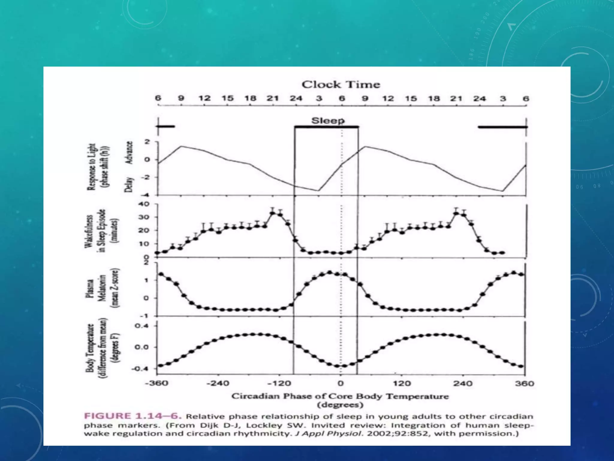 CHRONOBIOLOGY.pptx