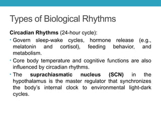 Chronobiology - Overview - Dr.M.Jothimuniyandi | PPTX