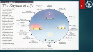 Chronobiology | PPT