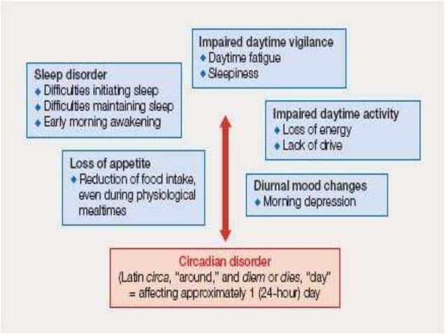 Chronobiology of fatigue disorders | PPT