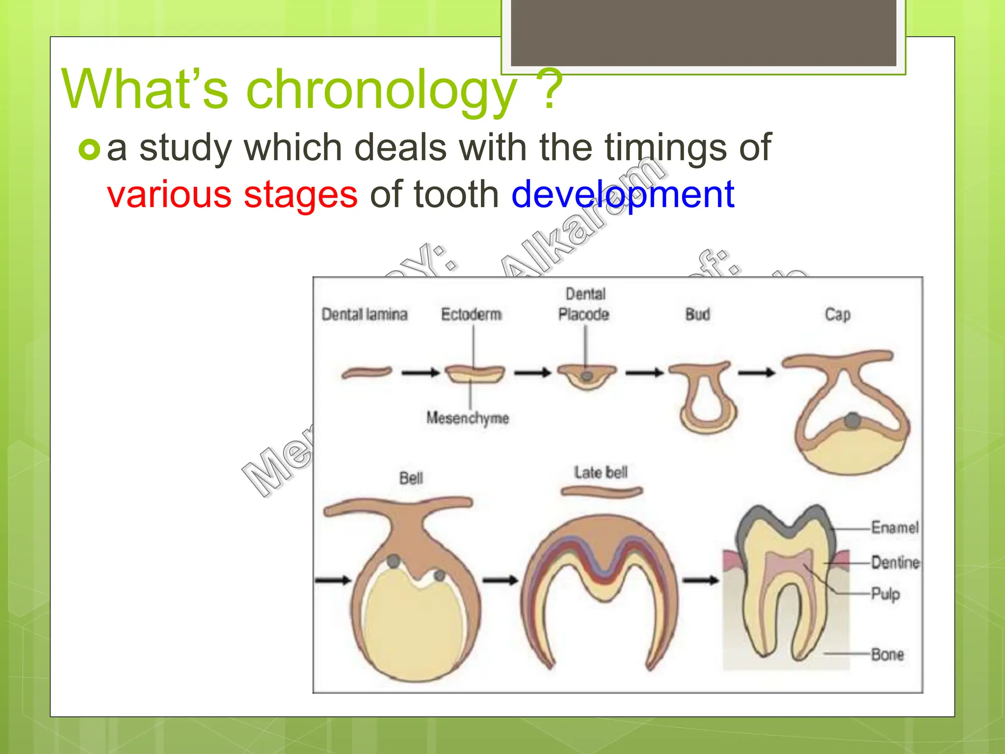 Chronology of odontogenesis and age determination from radiograph.pptx