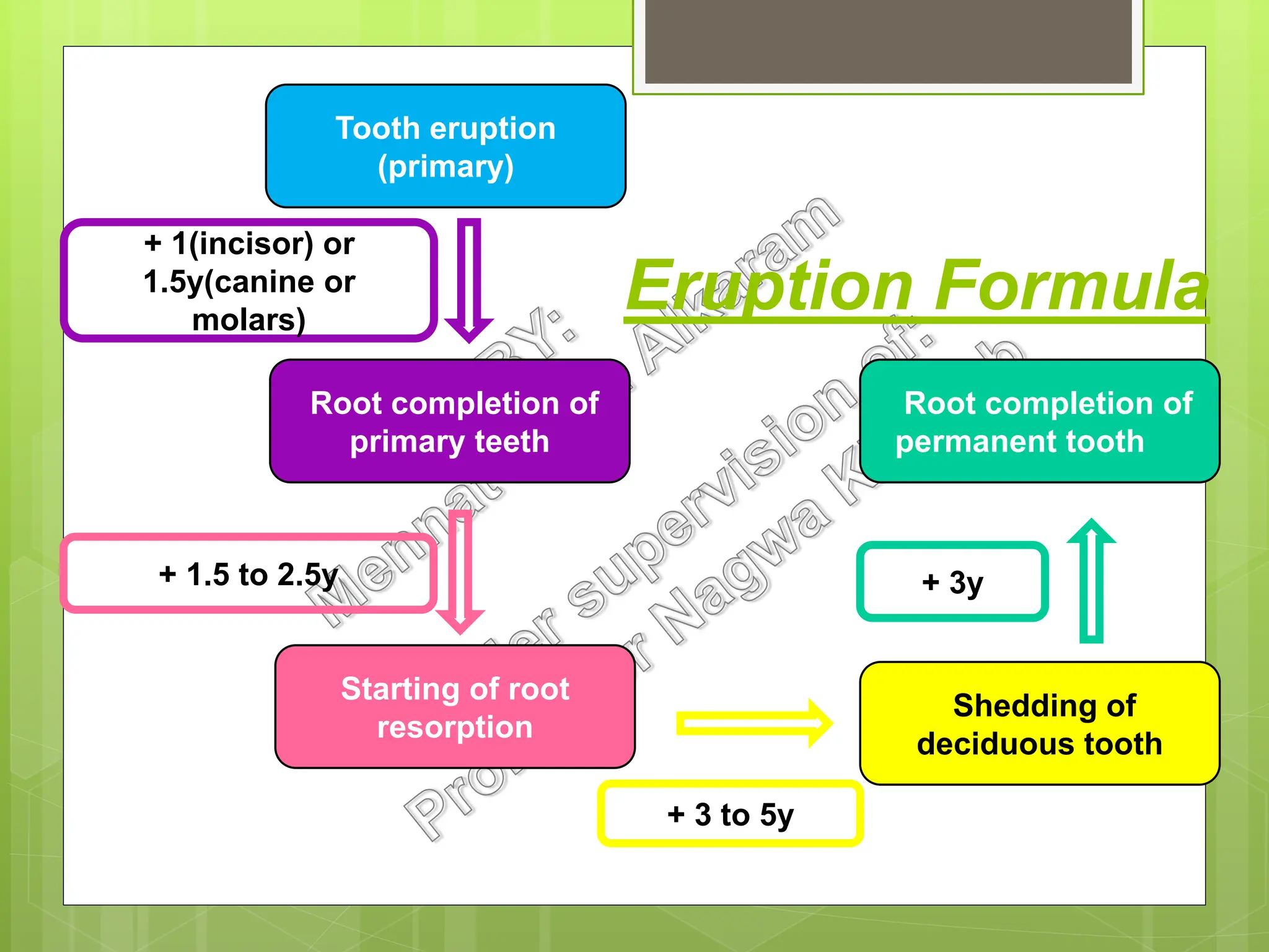 Chronology of odontogenesis and age determination from radiograph.pptx