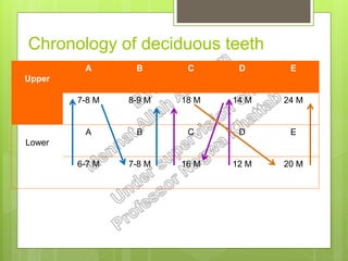 Chronology of odontogenesis and age determination from radiograph.pptx