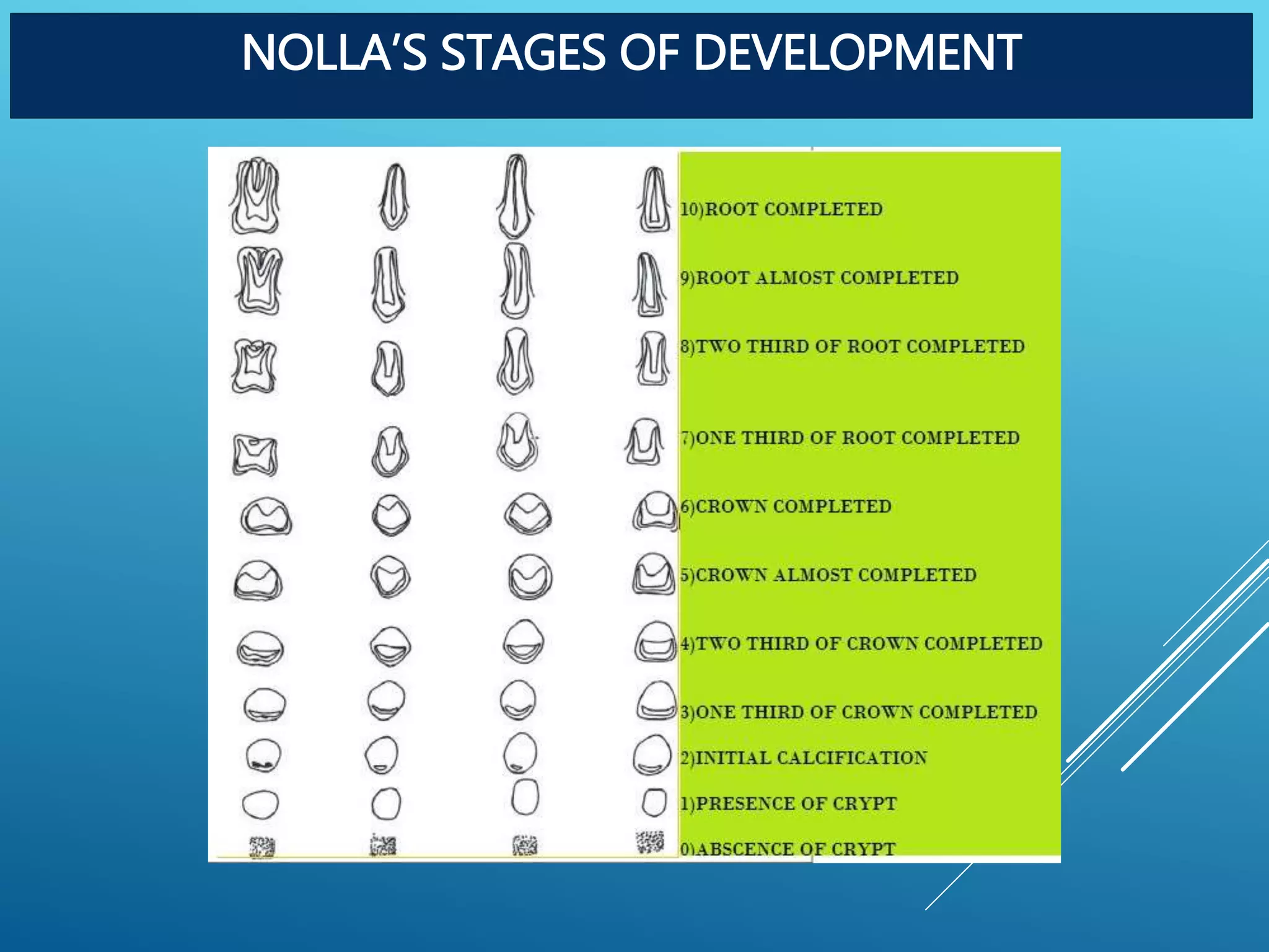 Chronology of Primary Dentition | PPTX