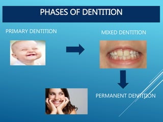 Chronology of Primary Dentition | PPTX