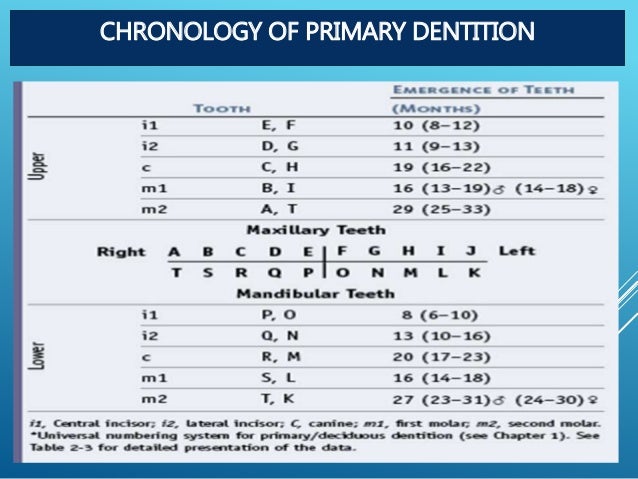 Chronology of Primary Dentition