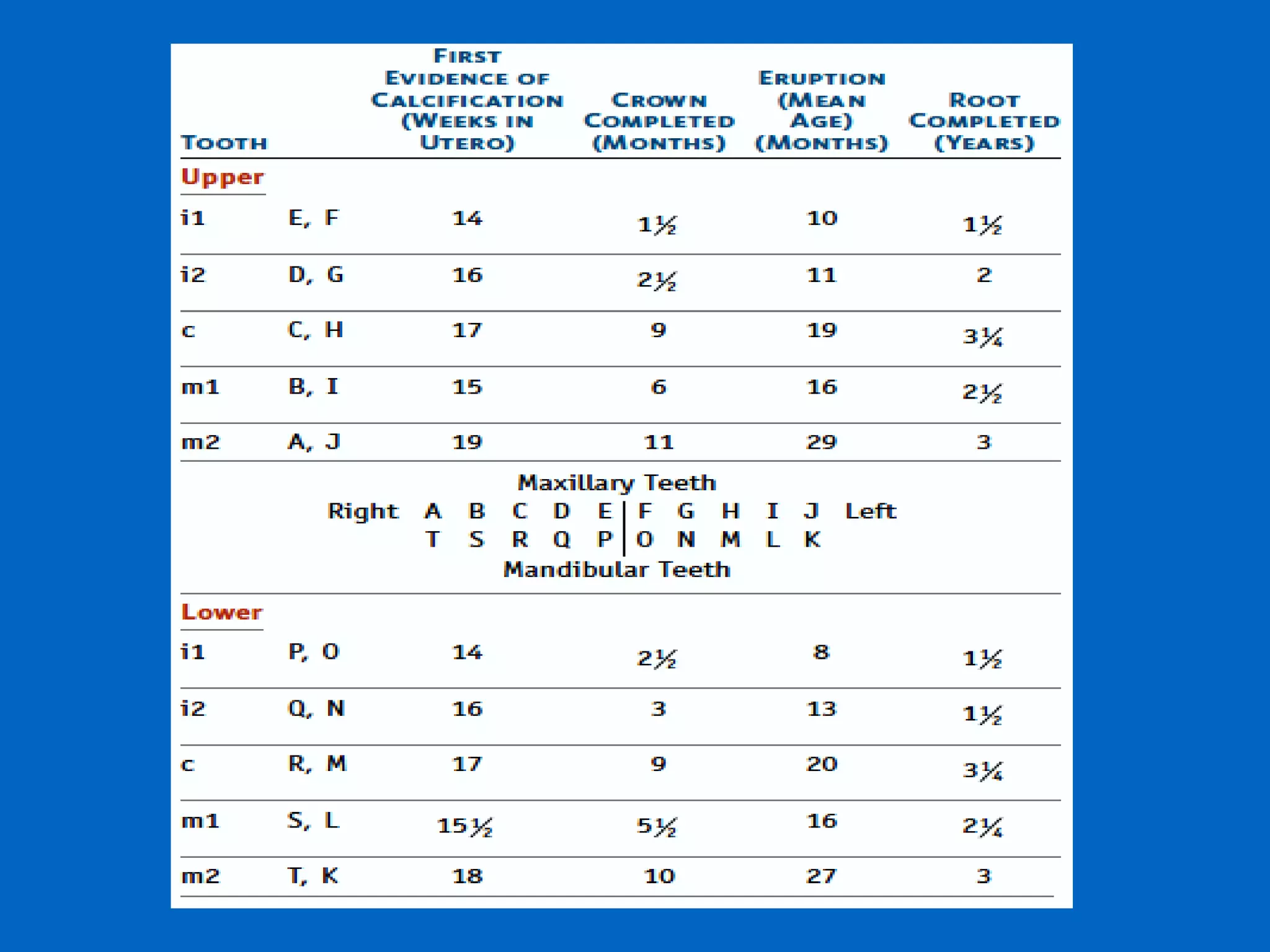 Chronology of crown formation | PPTX