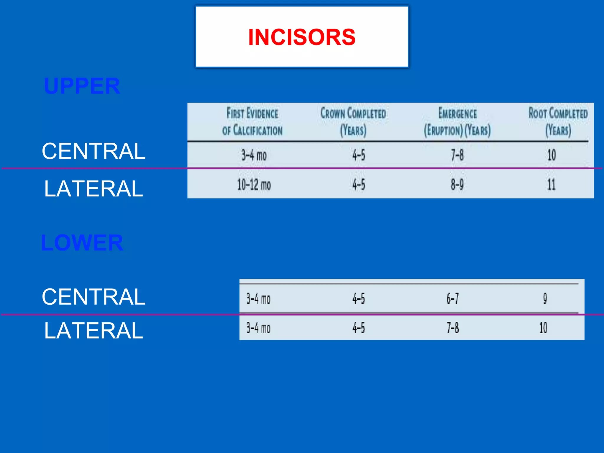 Chronology of crown formation | PPTX