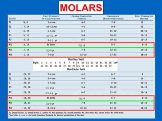 Chronology of crown formation | PPTX