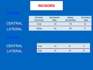 Chronology of crown formation | PPTX