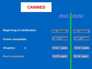 Chronology of crown formation | PPTX