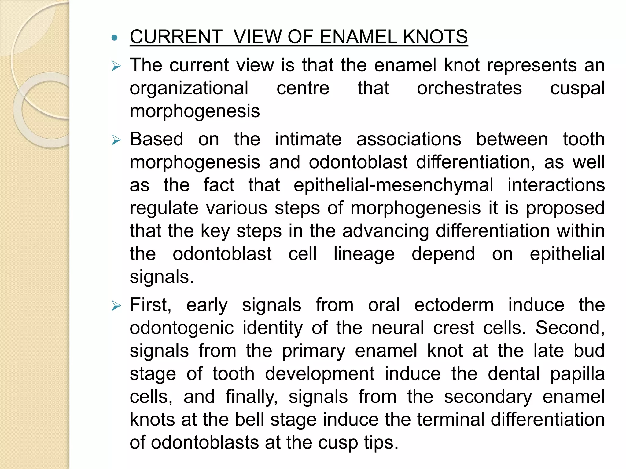 Chronology of dental development and development of occlusion | PPTX