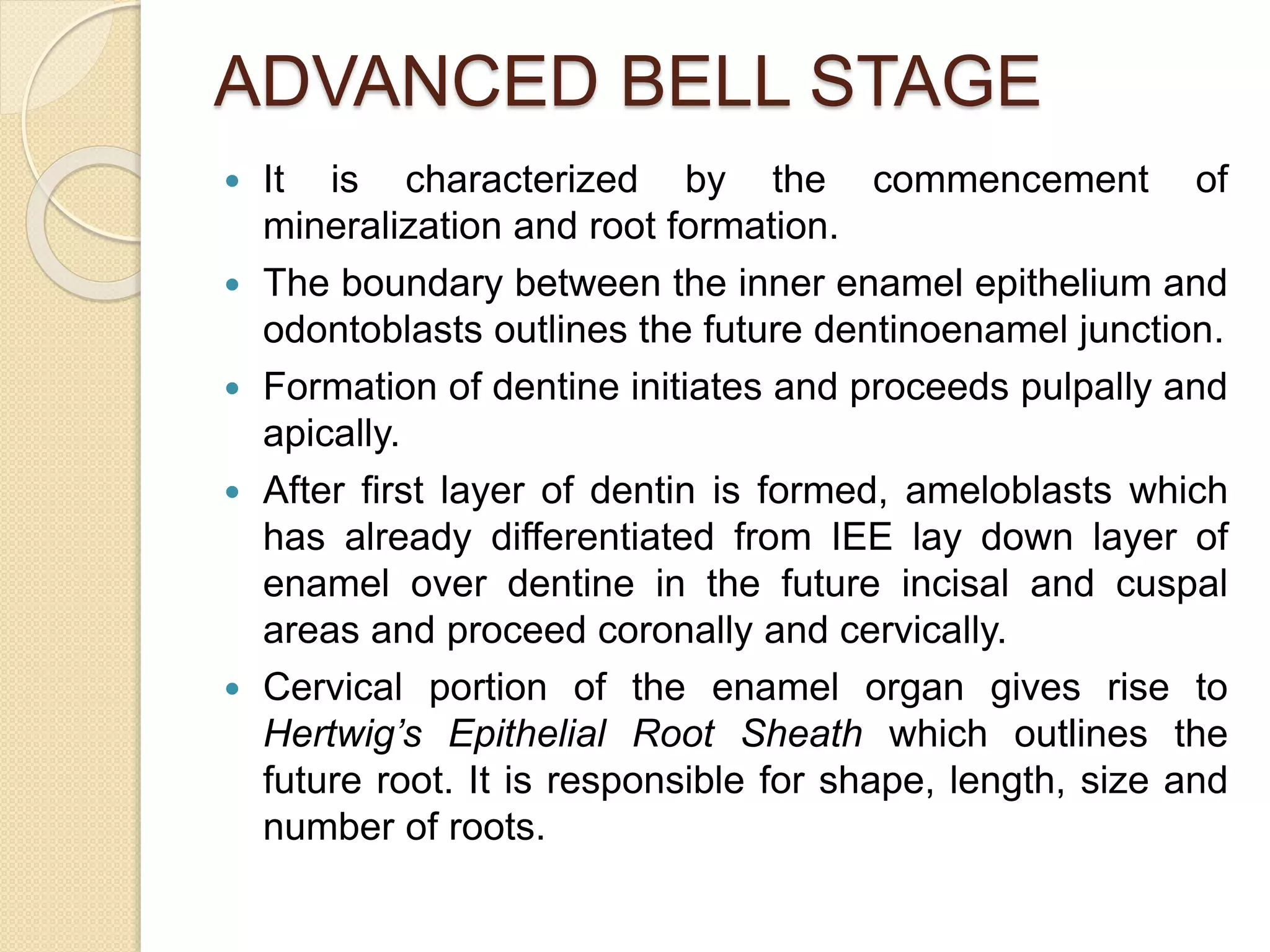Chronology of dental development and development of occlusion | PPTX