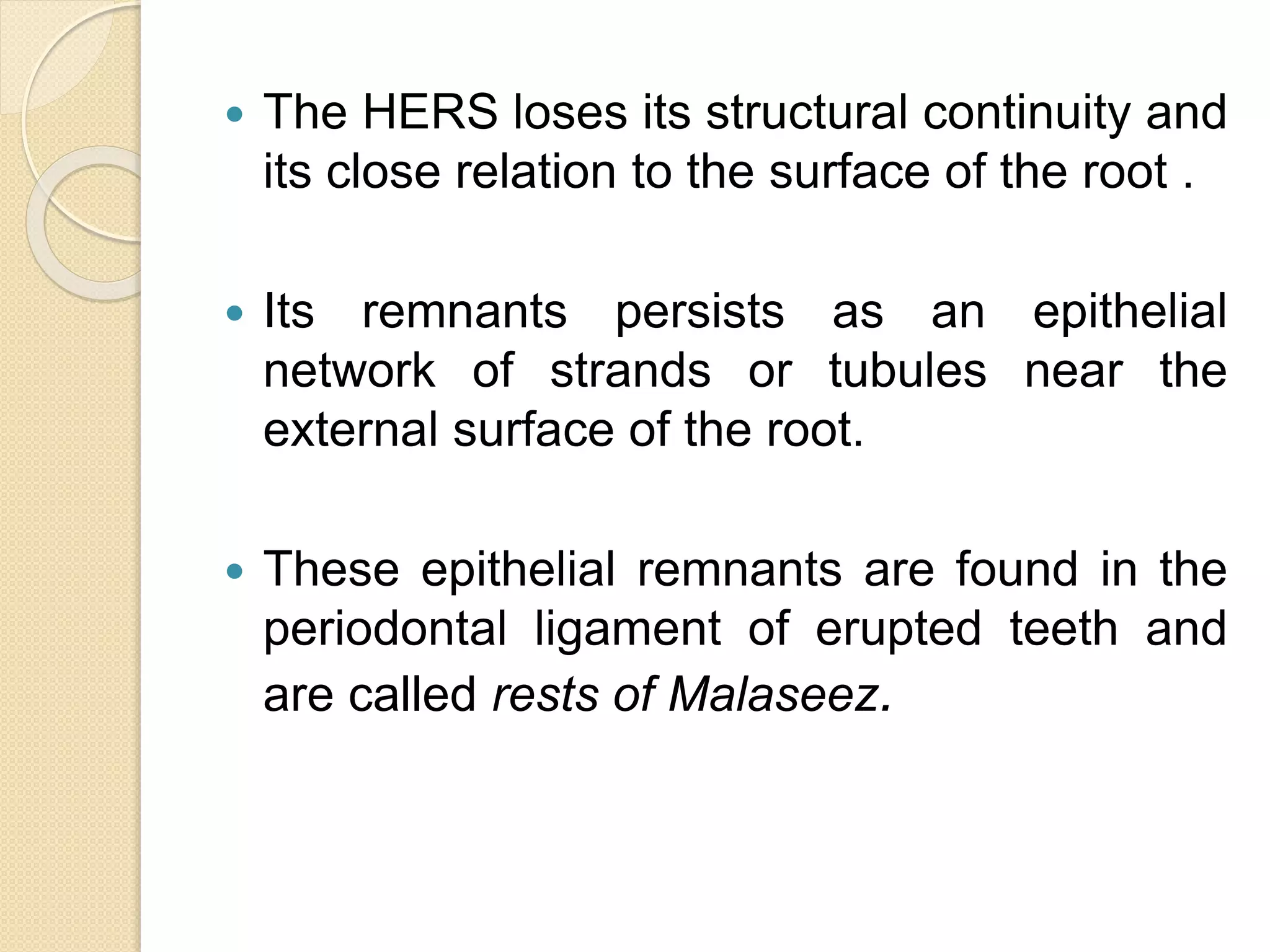 Chronology of dental development and development of occlusion | PPTX